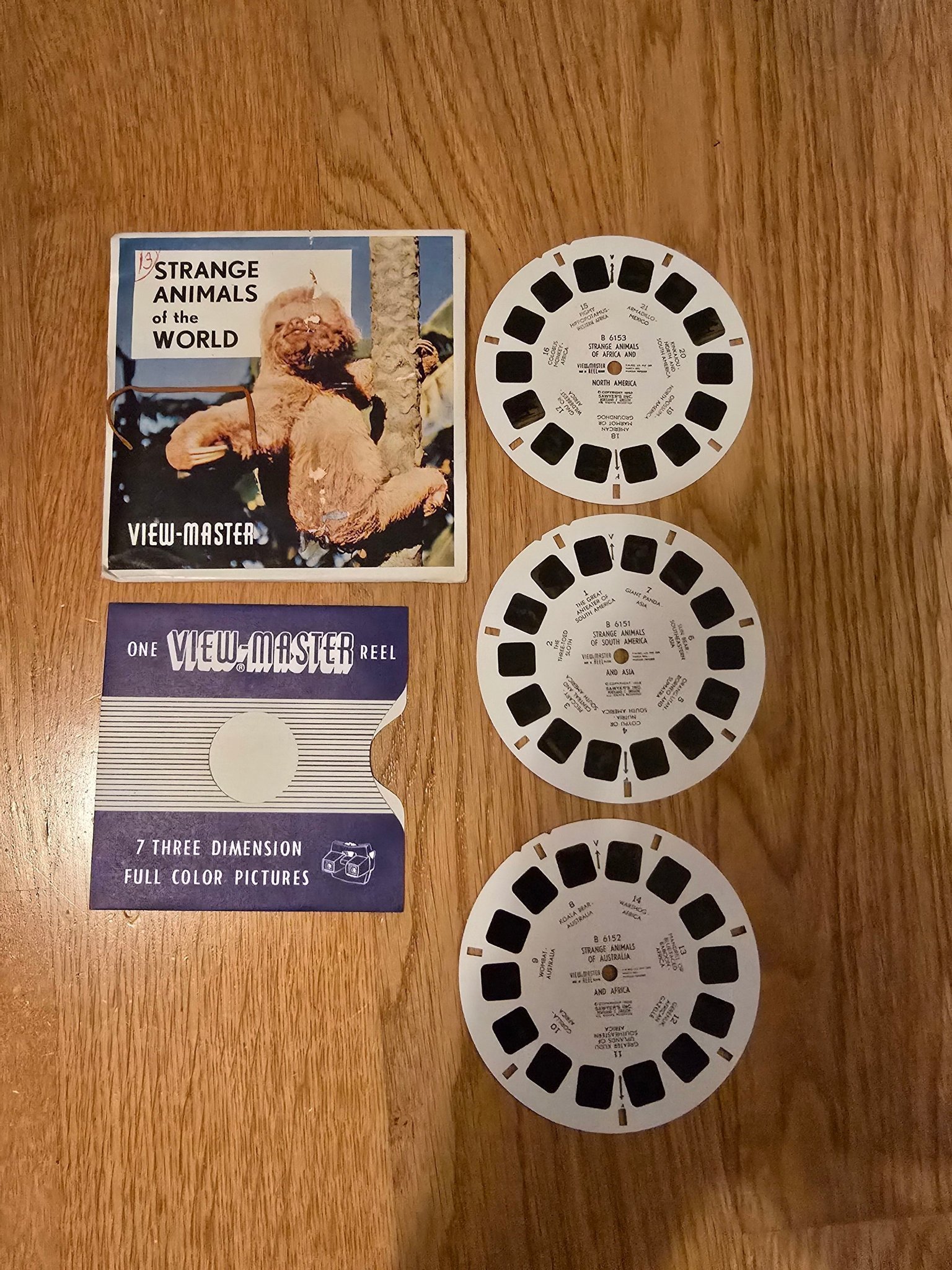 View-Master Rullar - Strange Animals of the World | Köp på Tradera ...