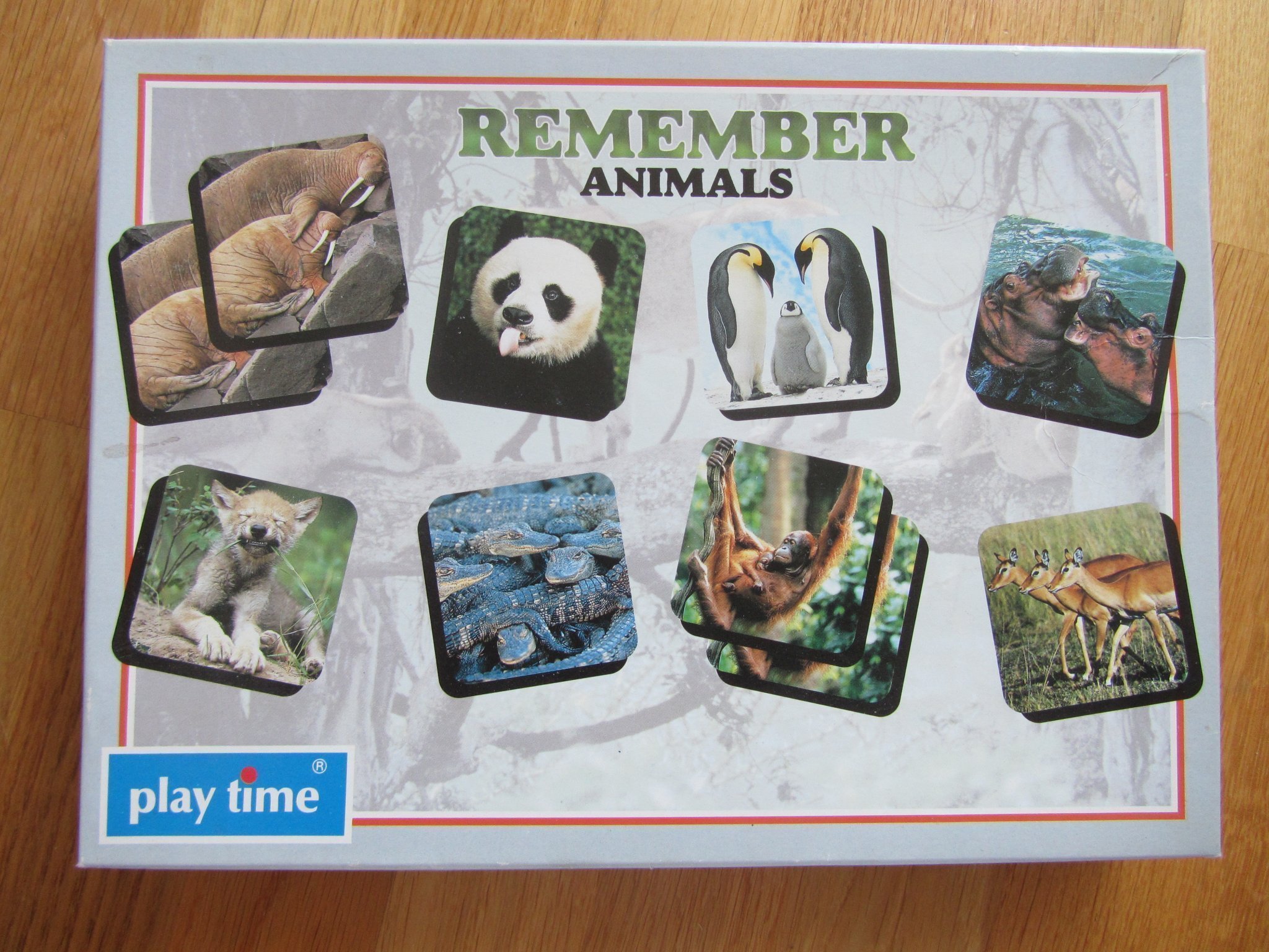 Animals With The Best Memory Busyteacher Memory Animal - Art Paper ...