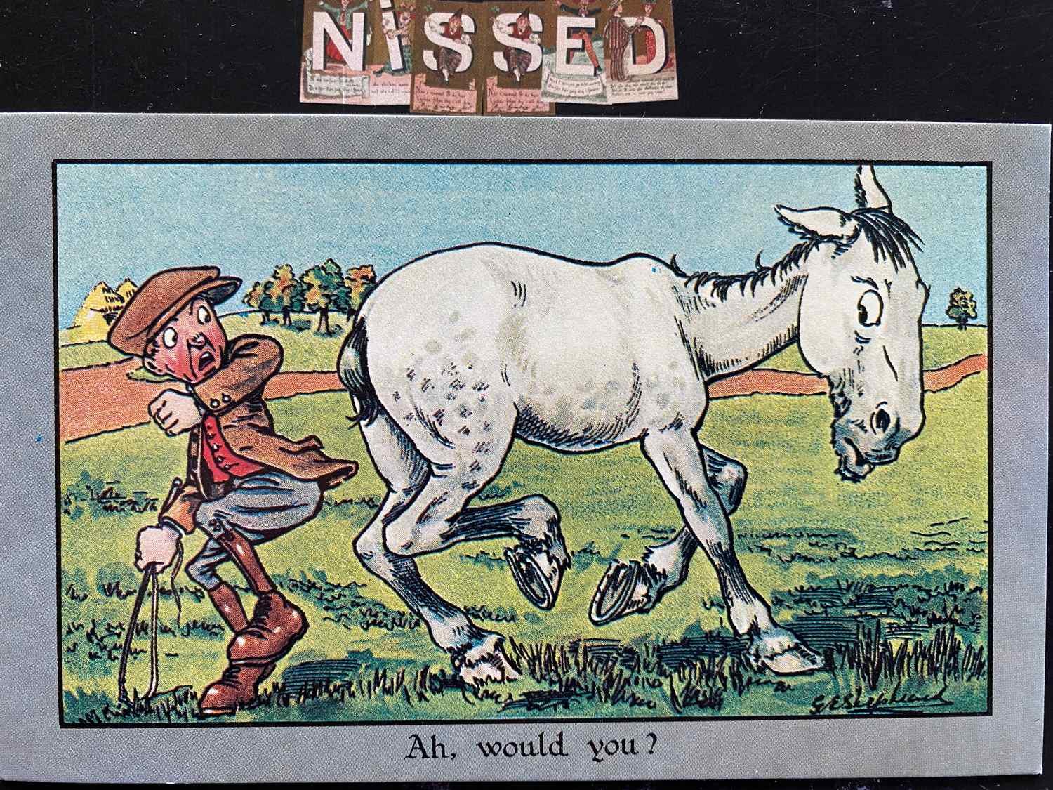 Se produkter som liknar Tecknat vykort med Vit häst o.. på Tradera ...