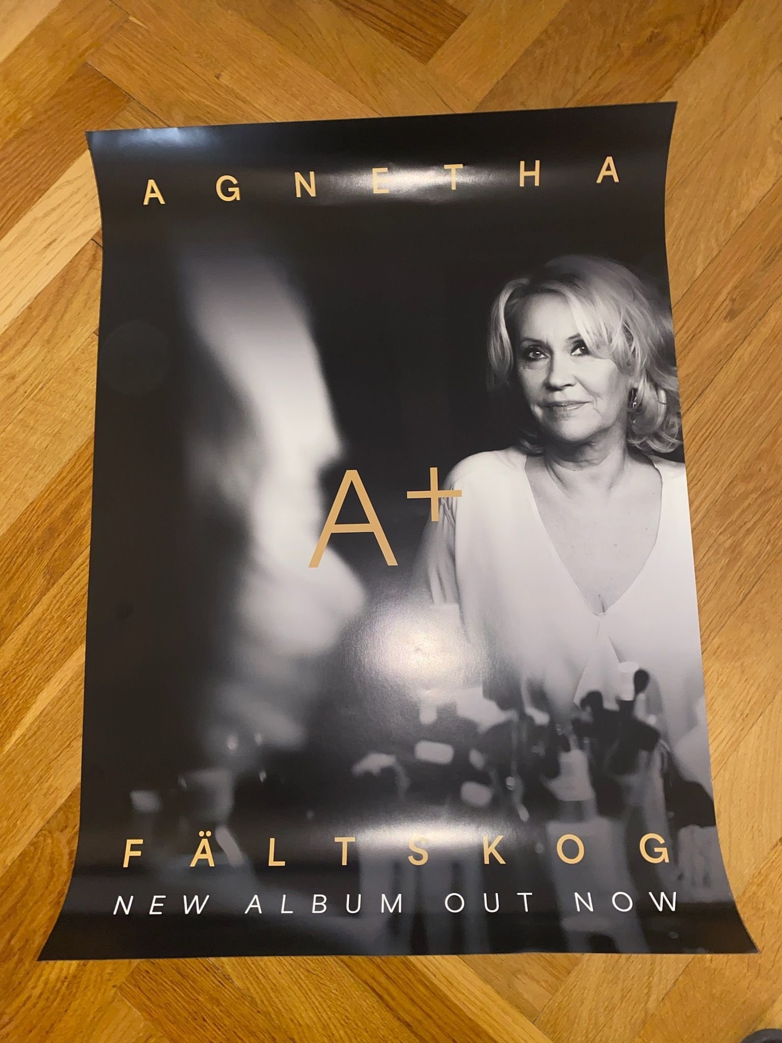 AGNETHA A+ PROMO POSTER ABBA Fältskog | Köp på Tradera (611469977)