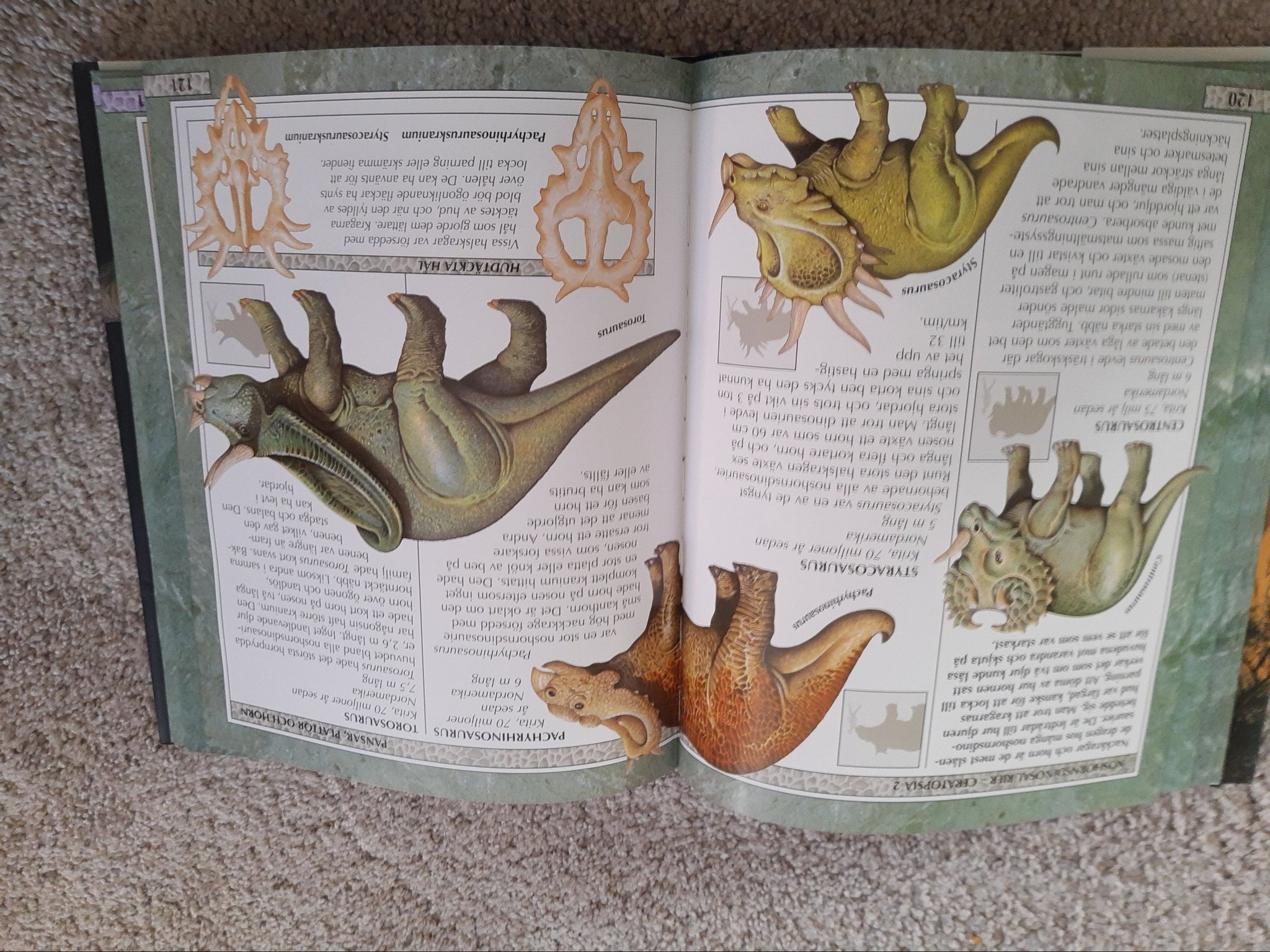 Dinosoarier. Den stora boken om dino sa ier | Köp på Tradera (594414183)