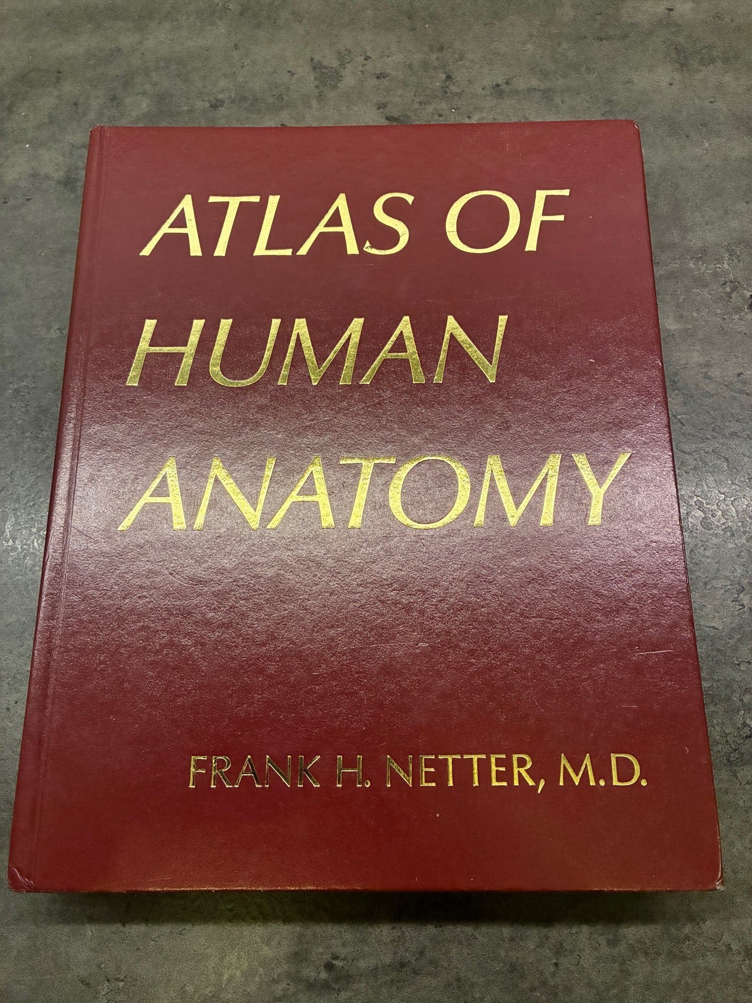 Frank H Netter- Atlas of human anatomy | Köp på Tradera (718991227)