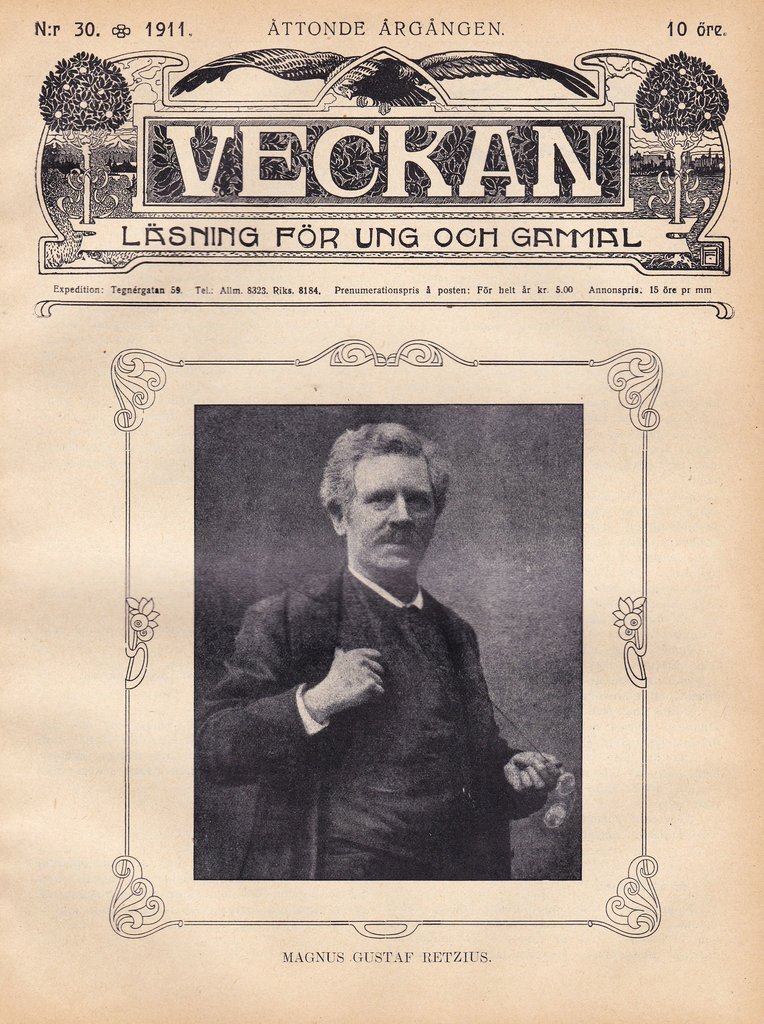 Veckan 1911-30 Magnus Gustaf Retzius..Mode Kläd.. | Köp på Tradera ...