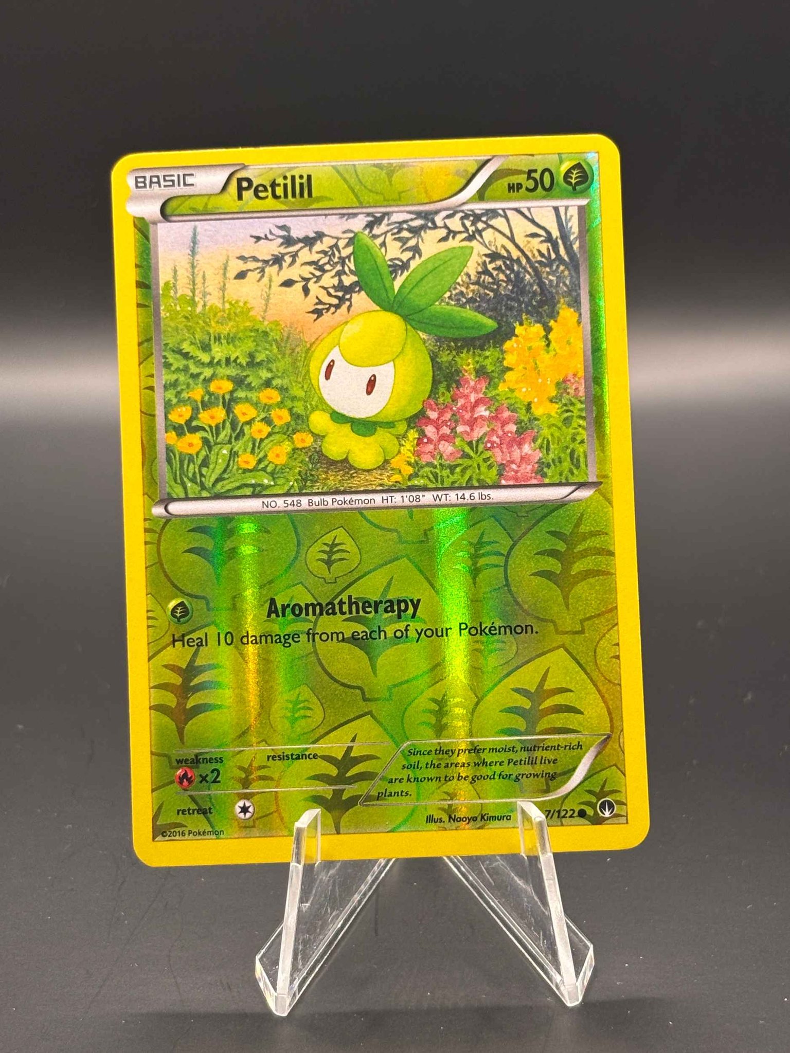 Petilil 7/122 [XY Breakpoint] | Köp från CardioCardsAB på Tradera ...