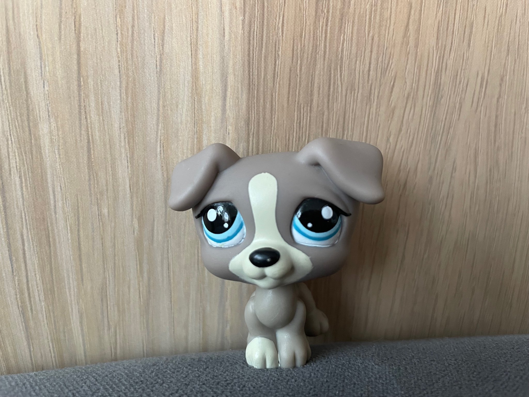 Hasbro LPS, Jack Russel #1832, Littlest pet shop | Köp på Tradera ...