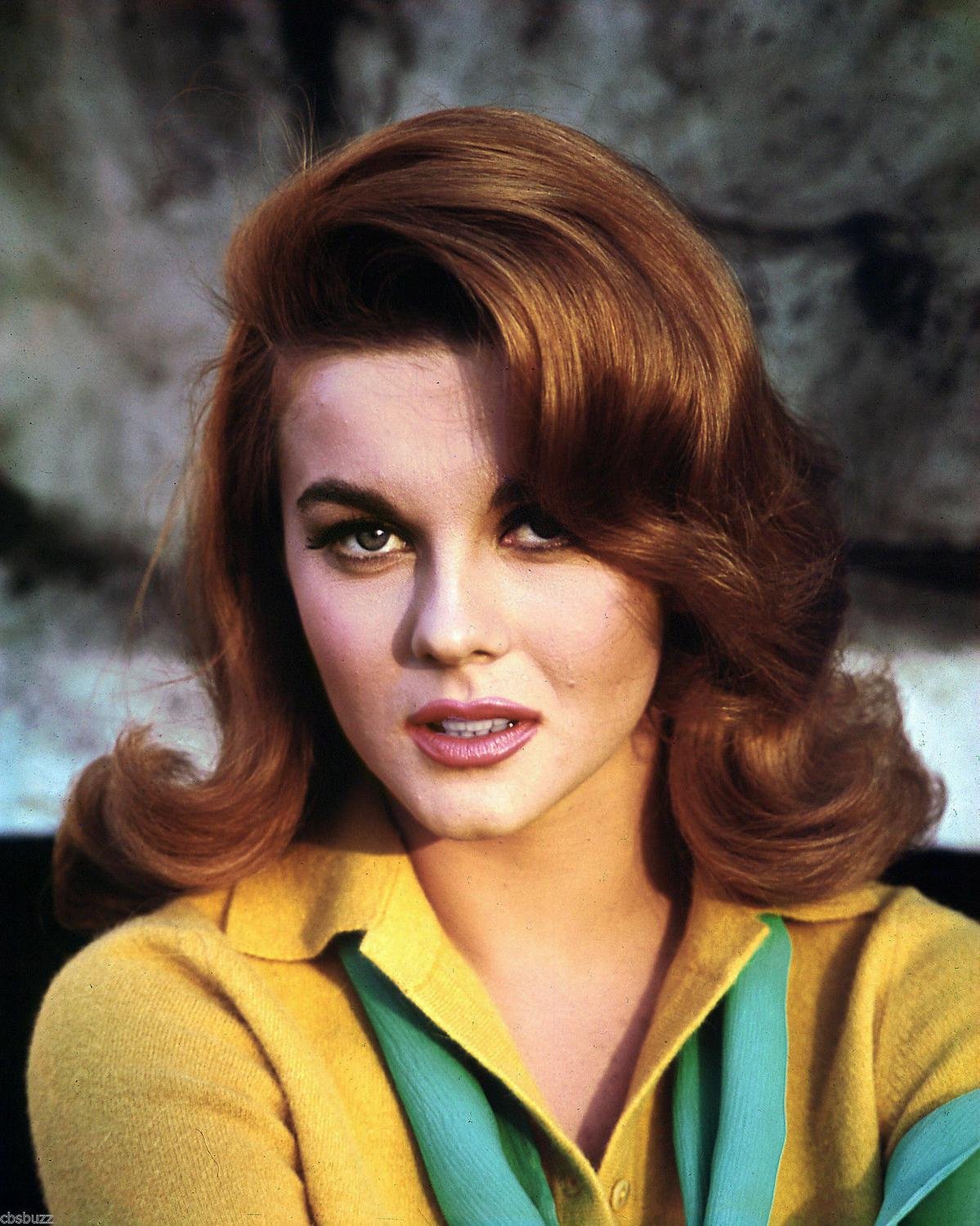 ANN MARGRET AMERICAN ACTRESS SINGER DANCER PHOT.. | Köp på Tradera ...
