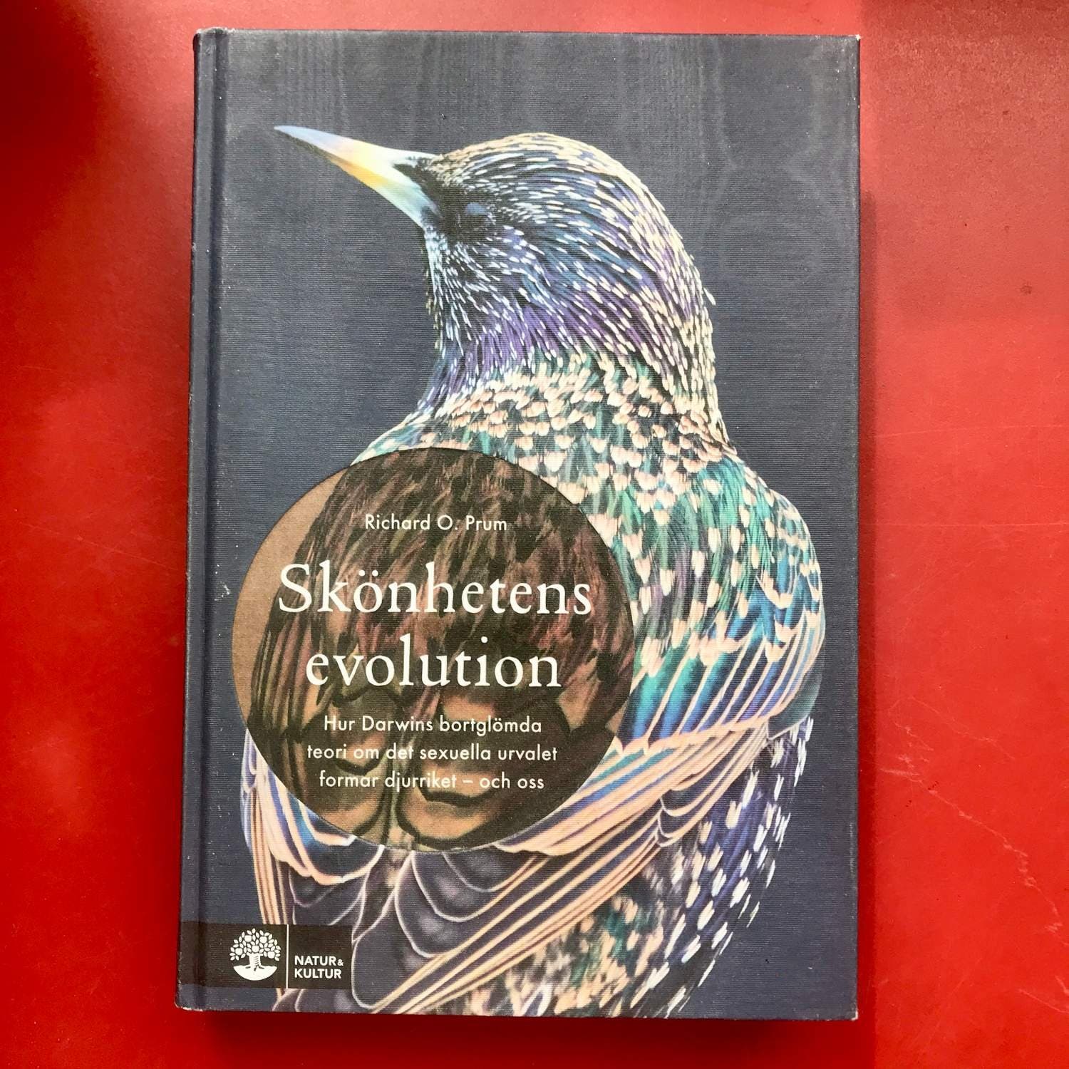 SKÖNHETENS EVOLUTION Richard.. | Köp från Haldins_Hylla på Tradera ...