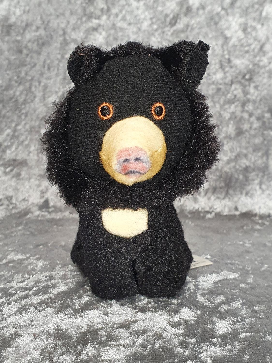 Sloth Bear / Läppbjörn, Weird but True National.. | Köp på Tradera ...