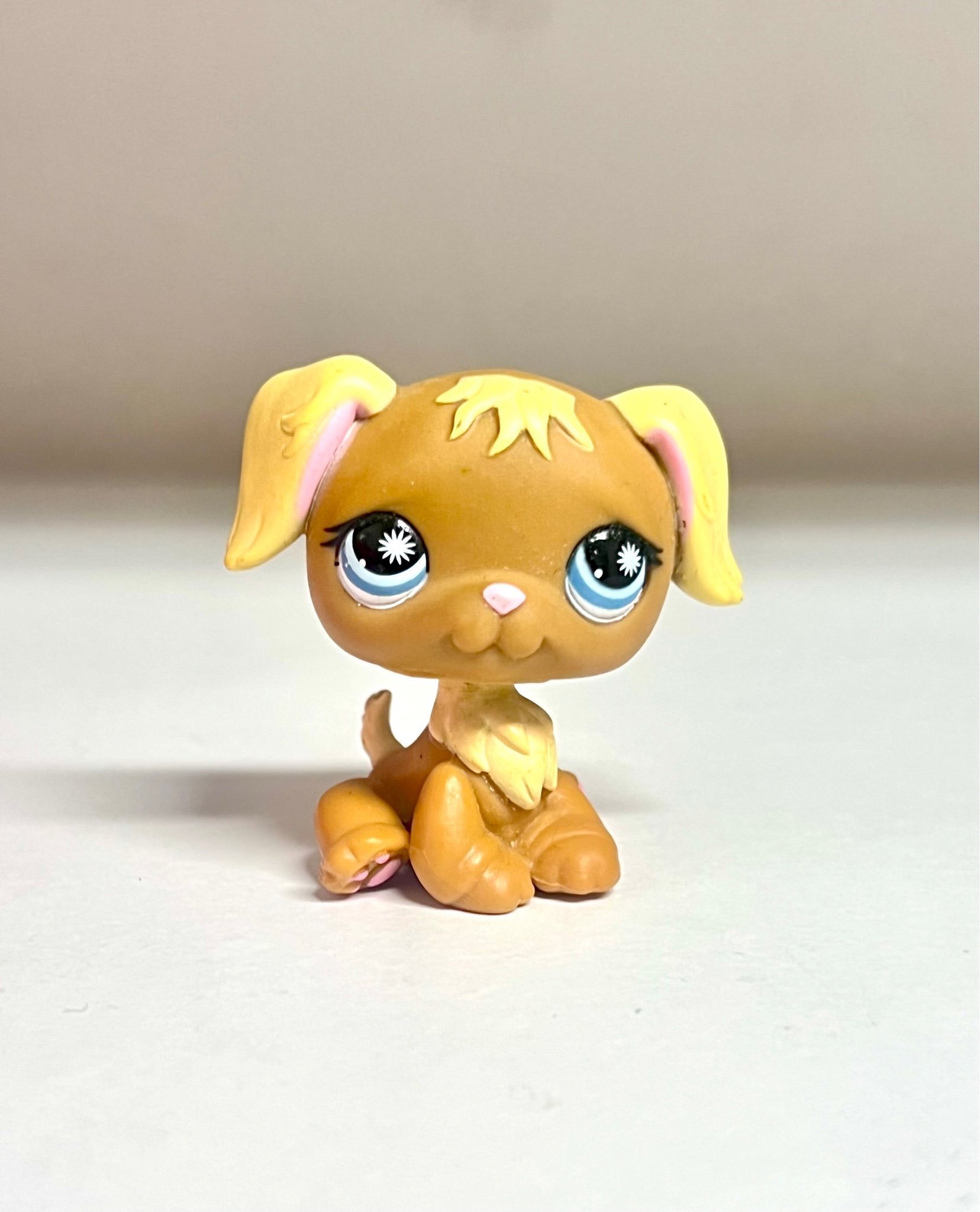 Little Pet shop hund | Köp på Tradera (733452107)