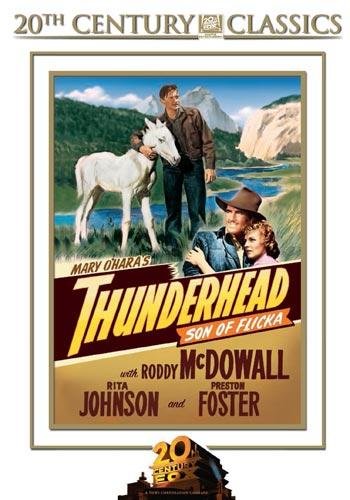 Thunderhead - Son of Flicka / Åskmolnet (1945) .. | Köp på Tradera ...