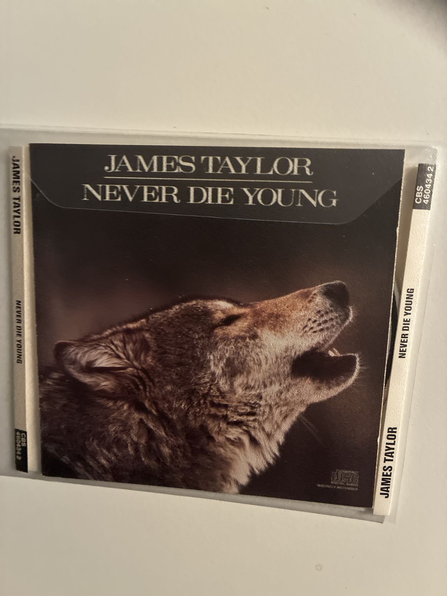 James Taylor-never for Young | Köp på Tradera (713108078)