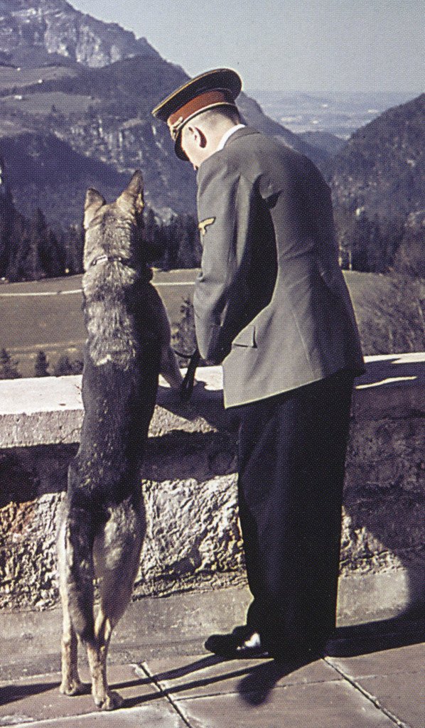 World War 2 Tredje Riket Adolf Hitler with his .. (353521893) ᐈ Köp på ...