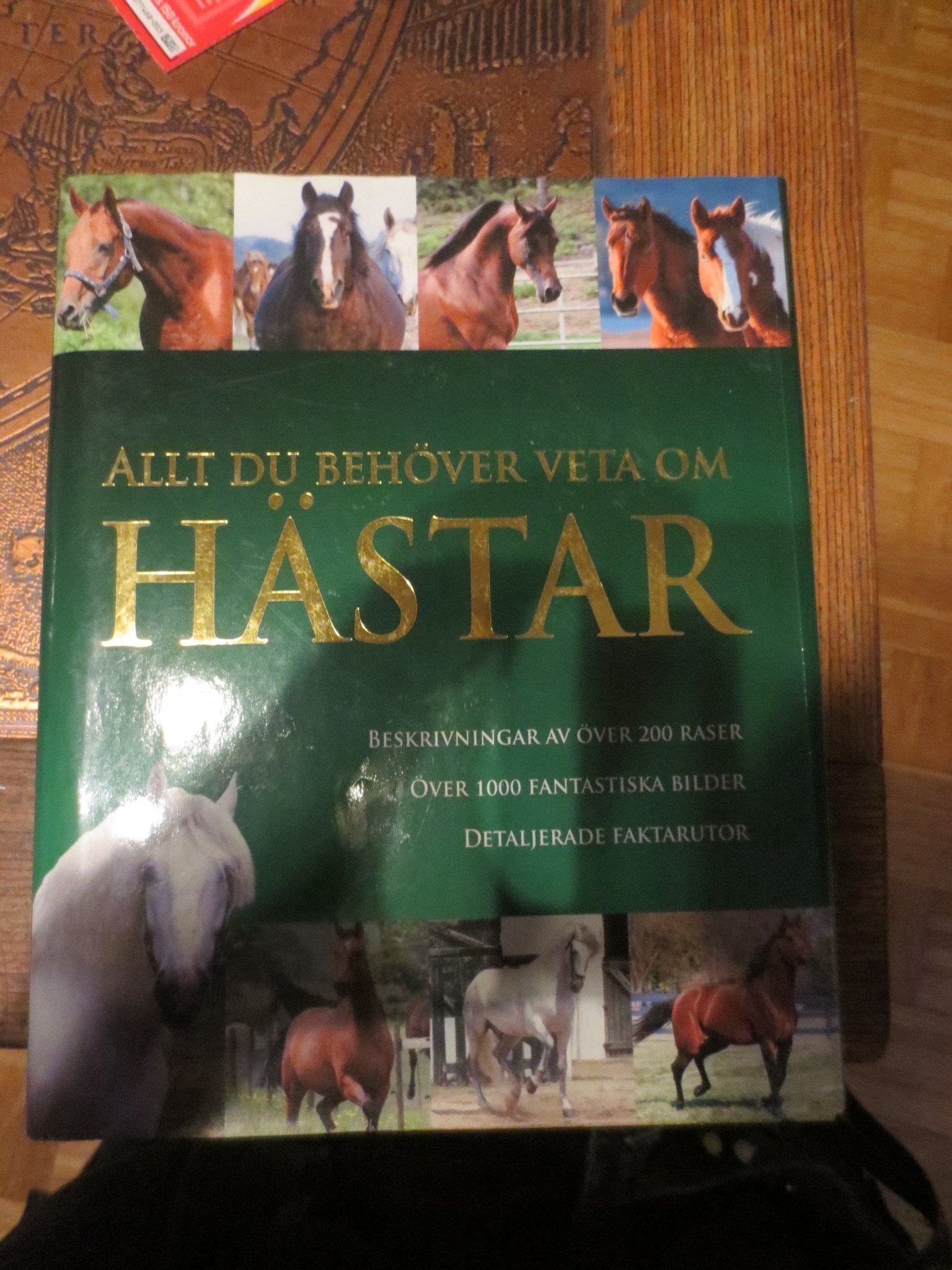 faktaboken allt du behöver veta om hästar | Köp på Tradera (627834329)