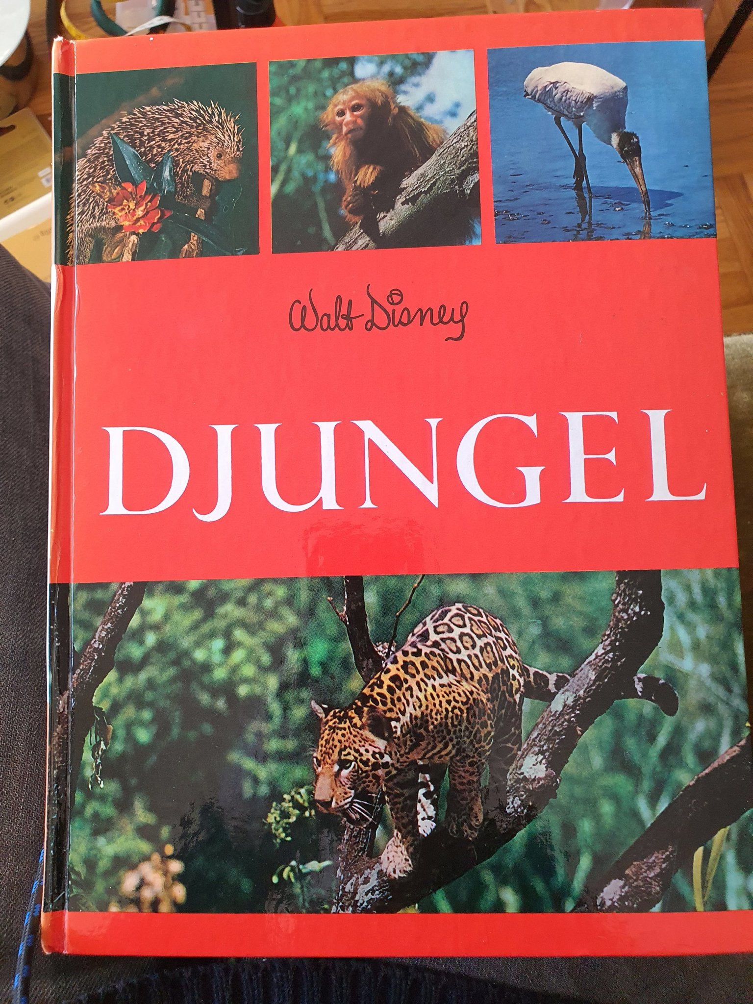 Vintage Walt Disney bok Djungel | Köp på Tradera (705319324)