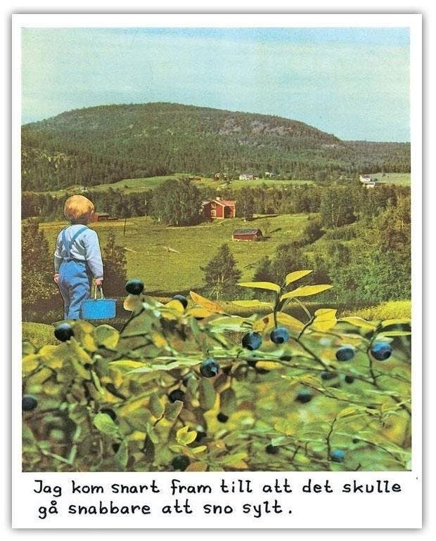 Jan Stenmark magnet ‘ Blåbär ’ | Köp från PosterGaraget på Tradera ...