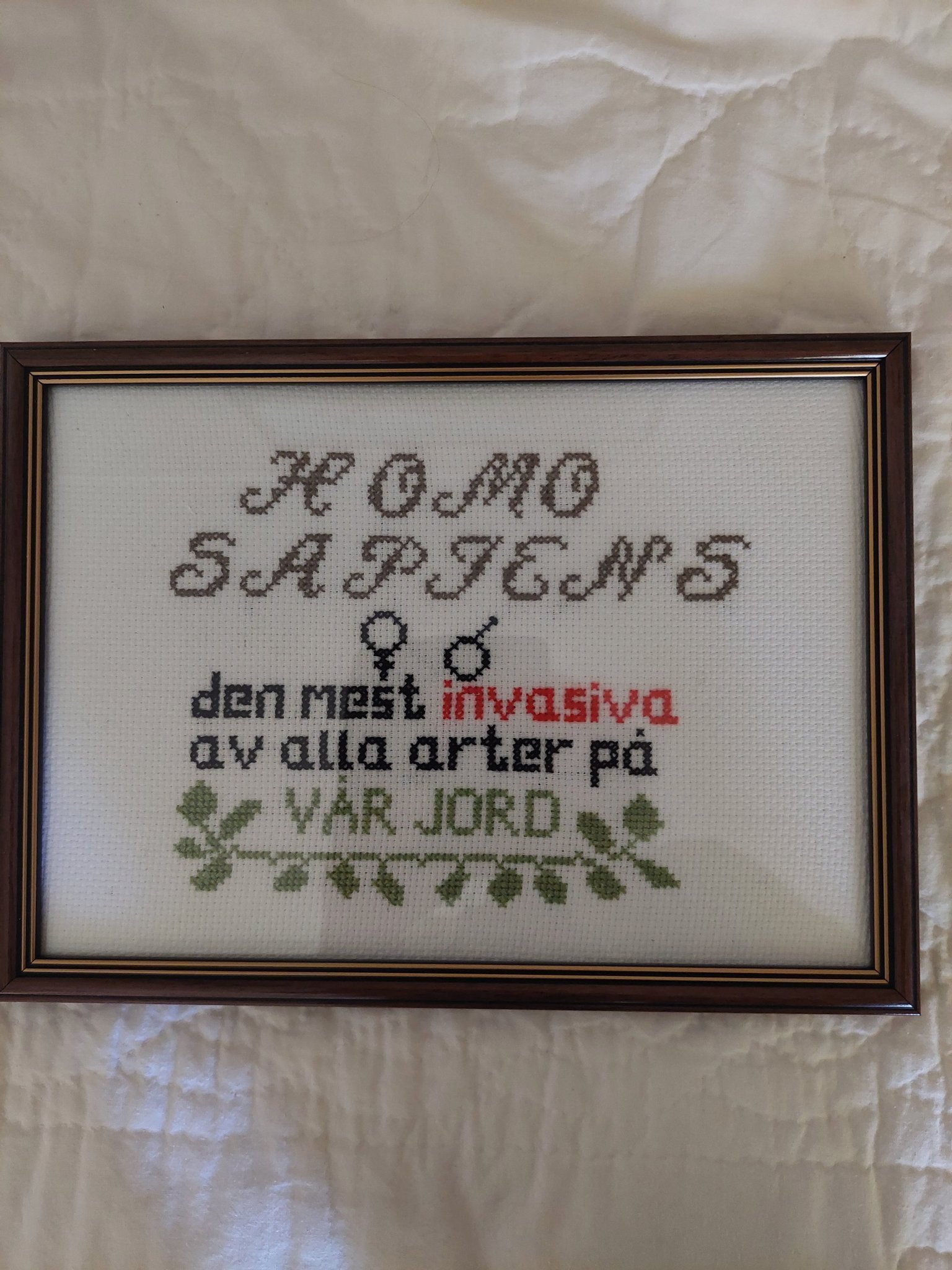 Broderad tavla korsstygn med text HOMO SAPIENS | Köp på Tradera (713483240)