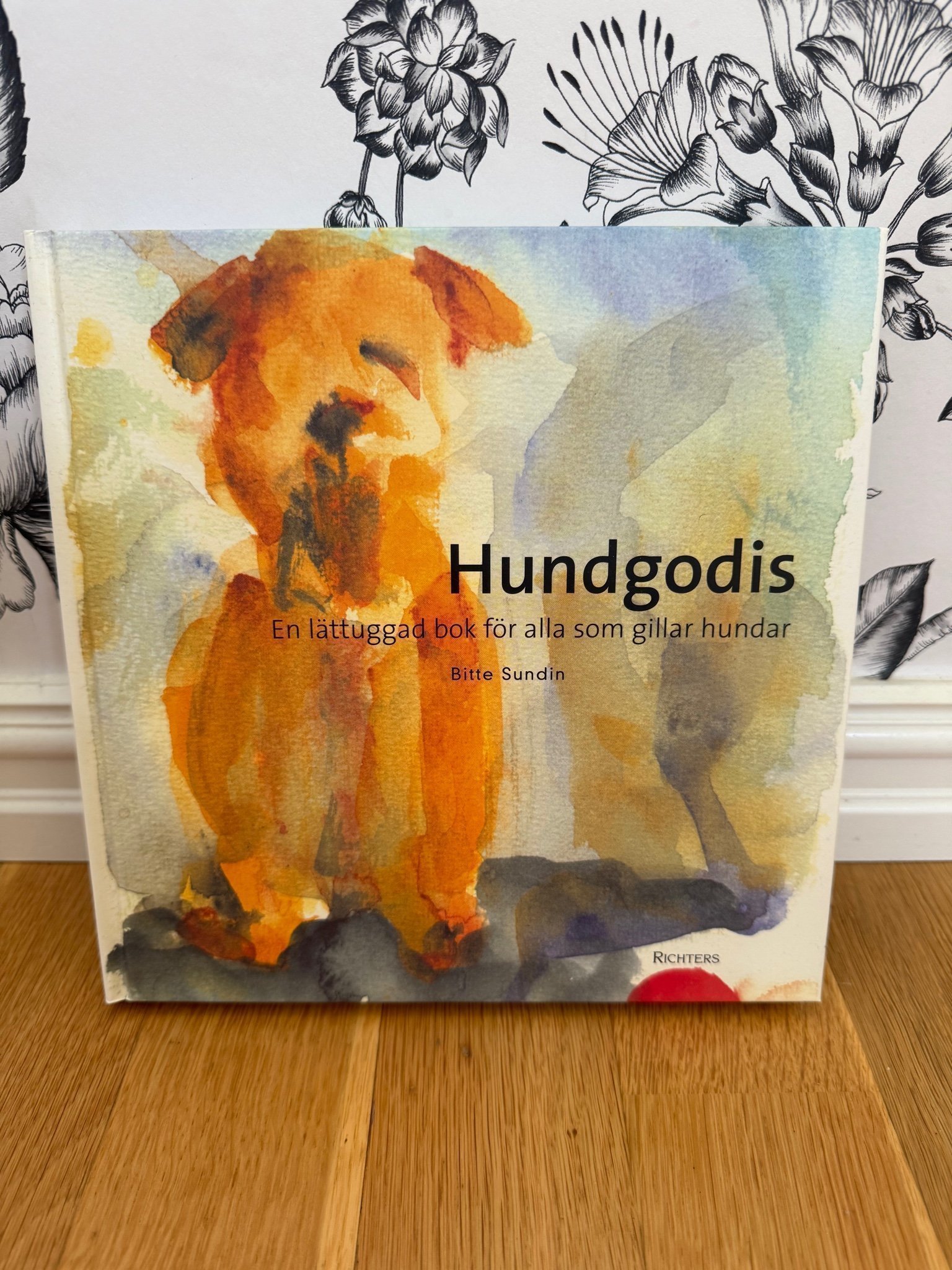 NY bok: Hundgodis av Bitte Sundin | Köp på Tradera (717976796)