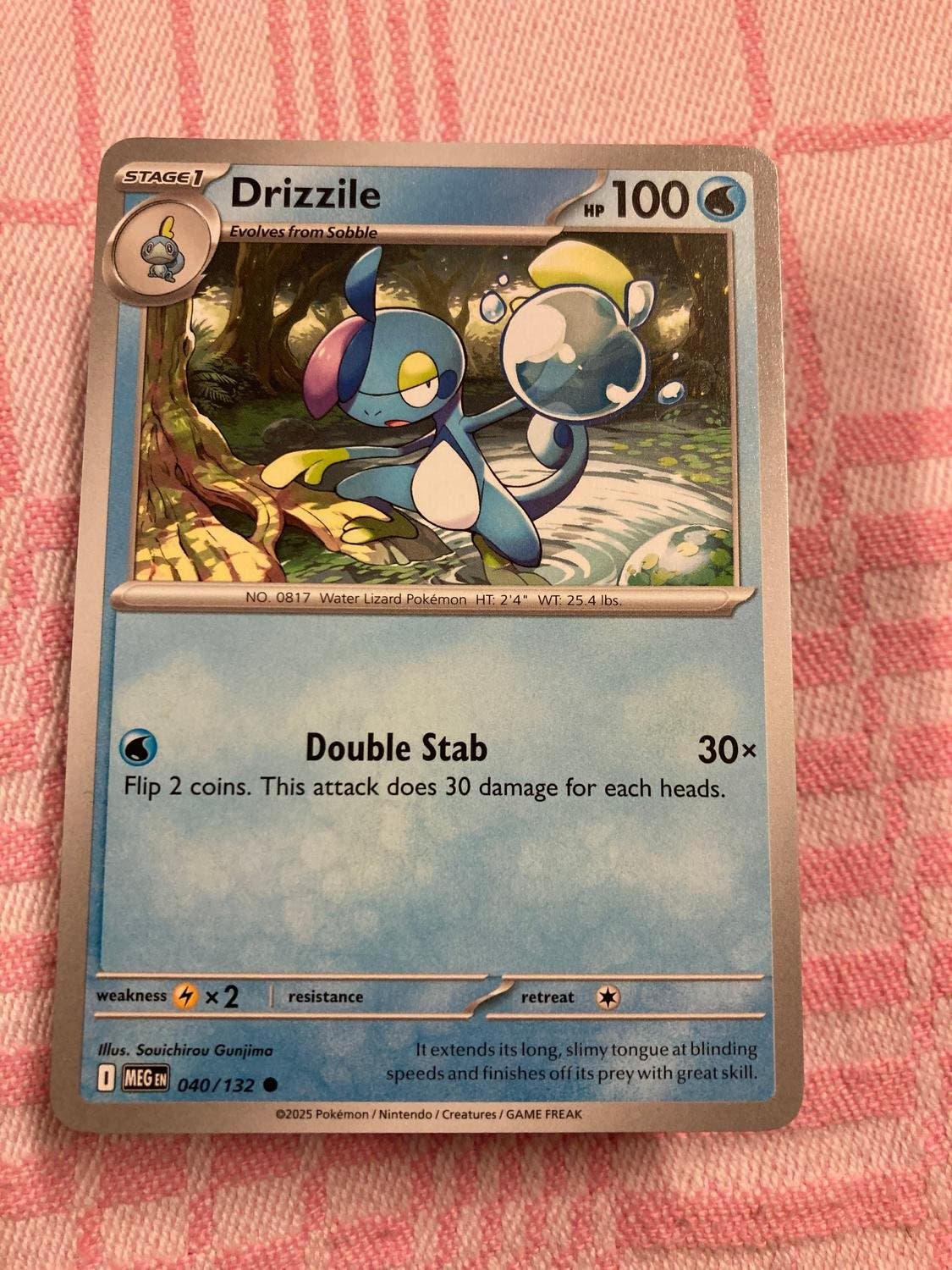 DRIZZILE - POKEMON - MEGA EVOLUT.. | Köp från hasse1248 på Tradera ...