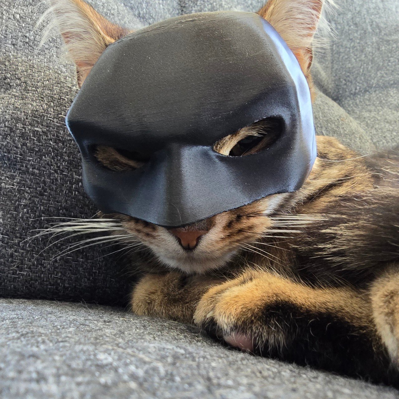 Se produkter som liknar Batman-mask för katt på Tradera (702776445)