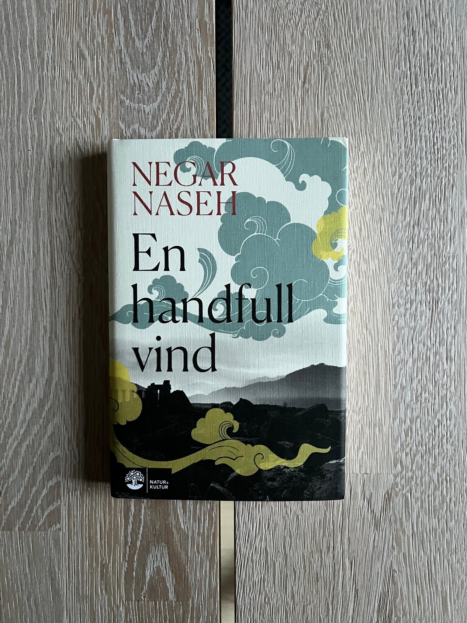 En handfull vind av Negar Naseh (Ny) | Köp på Tradera (708272651)