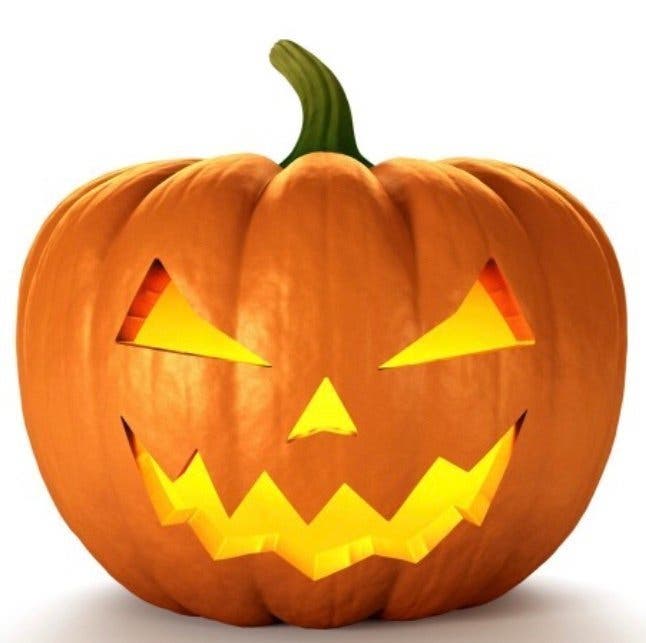 Se produkter som liknar Halloween pumpa frön på Tradera (656119362)