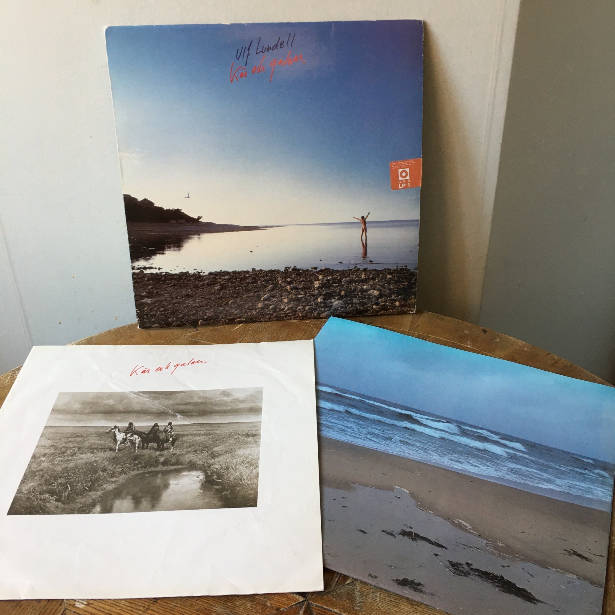 ULF LUNDELL - KÄR OCH GALEN SWE LP 1982 (422866073) ᐈ Köp på Tradera ULF LUNDELL - KÄR OCH GALEN SWE LP 1982 (422866073) ᐈ Köp på Tradera