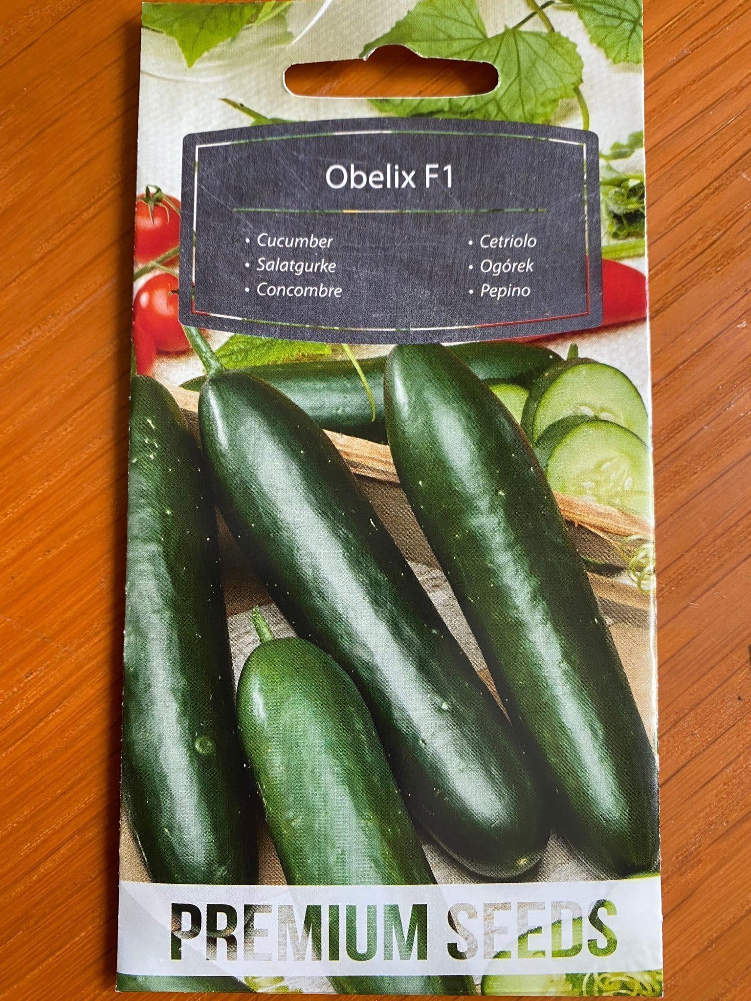 Gurka Obelix F1, 5 frö, packas i ZIP-påse från .. | Köp på Tradera ...