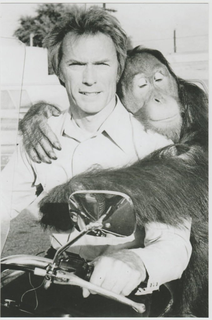 CLINT EASTWOOD WITH CLYDE THE ORANGUTAN *EVERY .. | Köp på Tradera ...