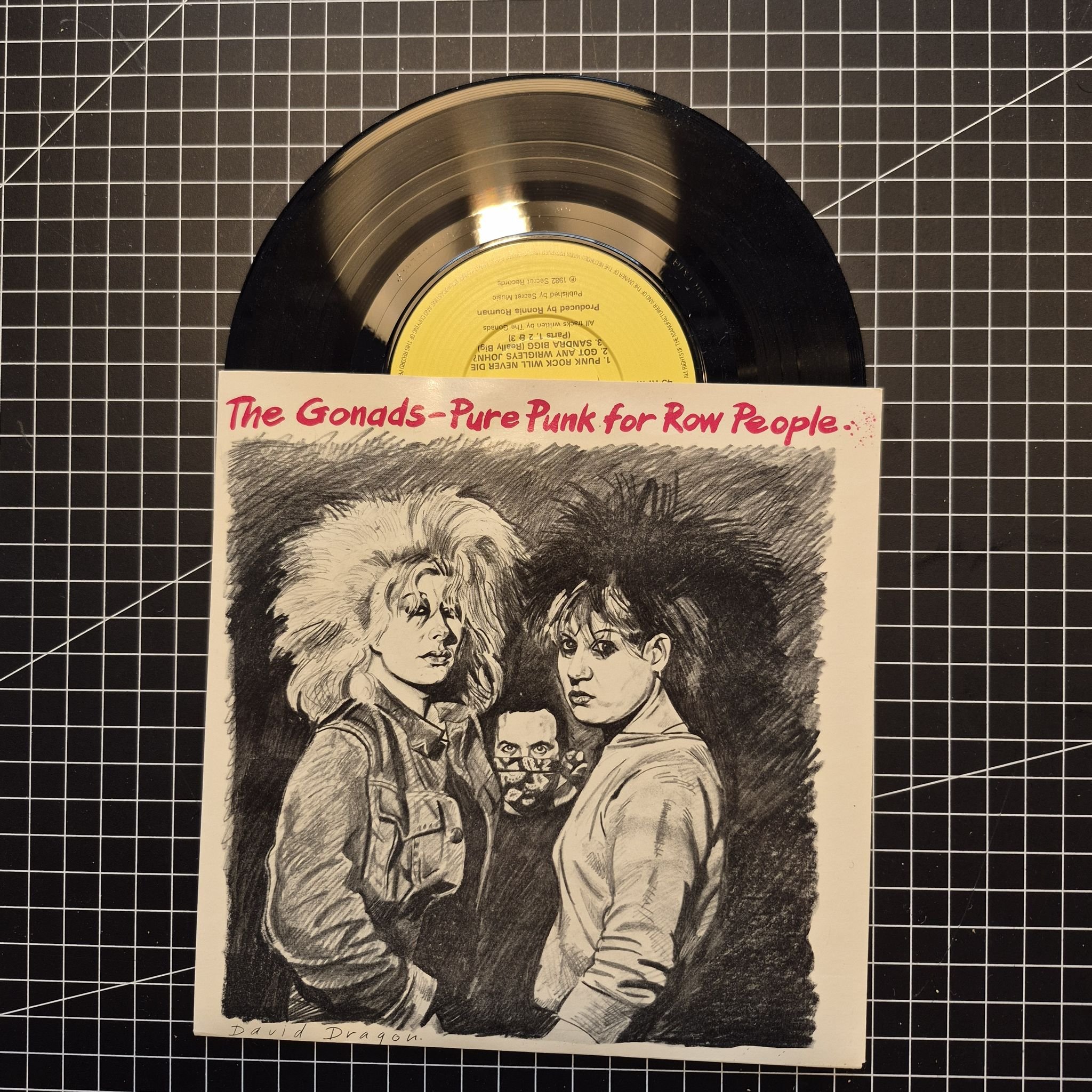 Se produkter som liknar The Gonads - Pure Punk For Ro.. på Tradera (686528912)