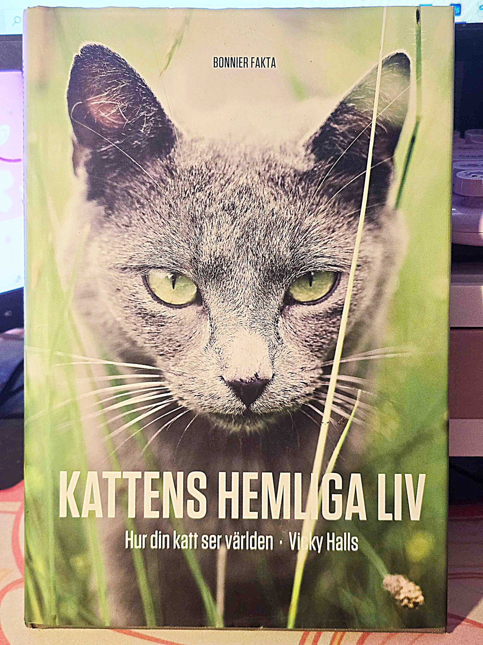 Kattens Hemliga Liv: Hur din Katt ser Världen -.. | Köp på Tradera (696527924)