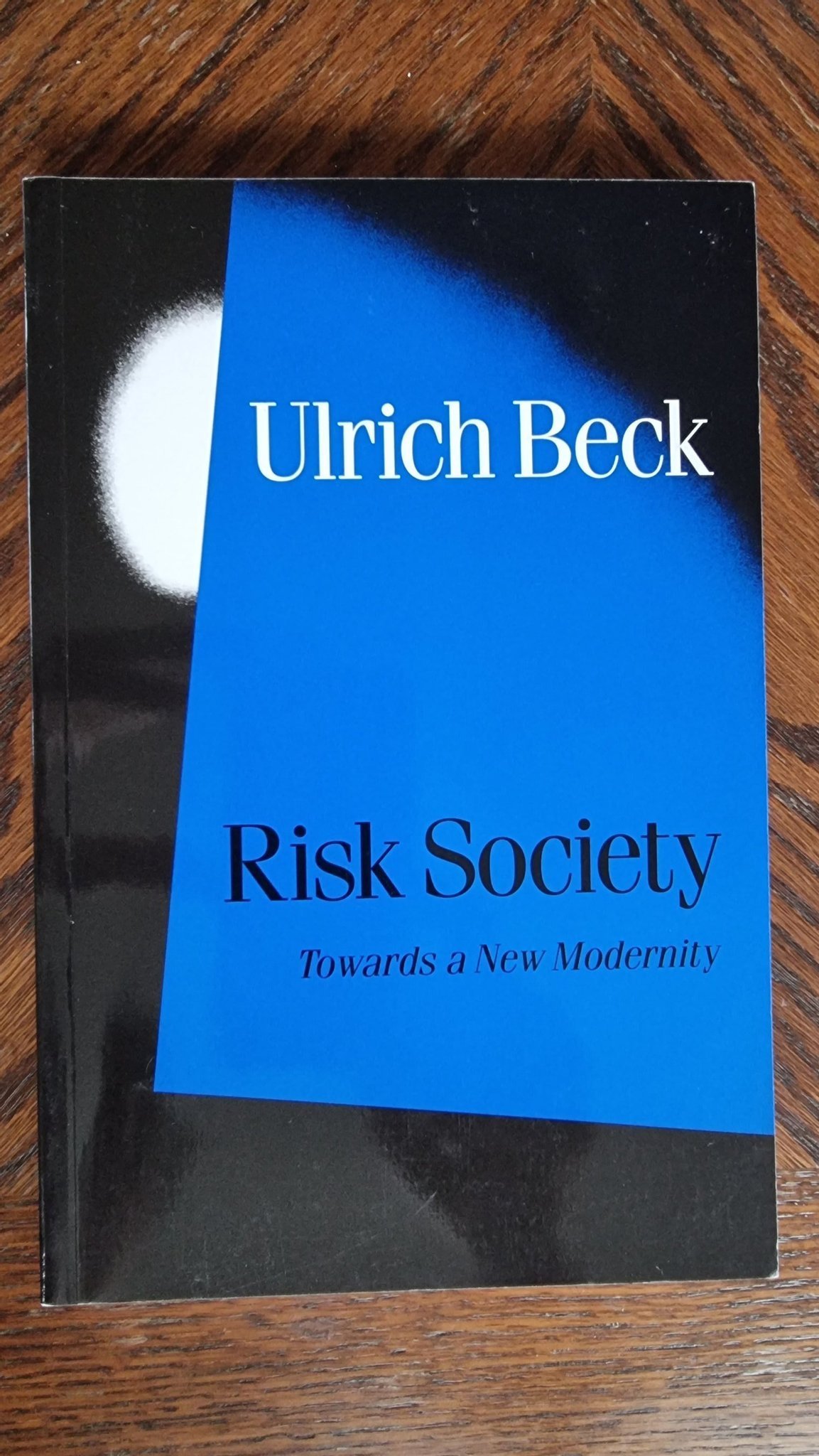 Ulrich Beck, Risk Society: Towards a New Modern.. | Köp på Tradera ...