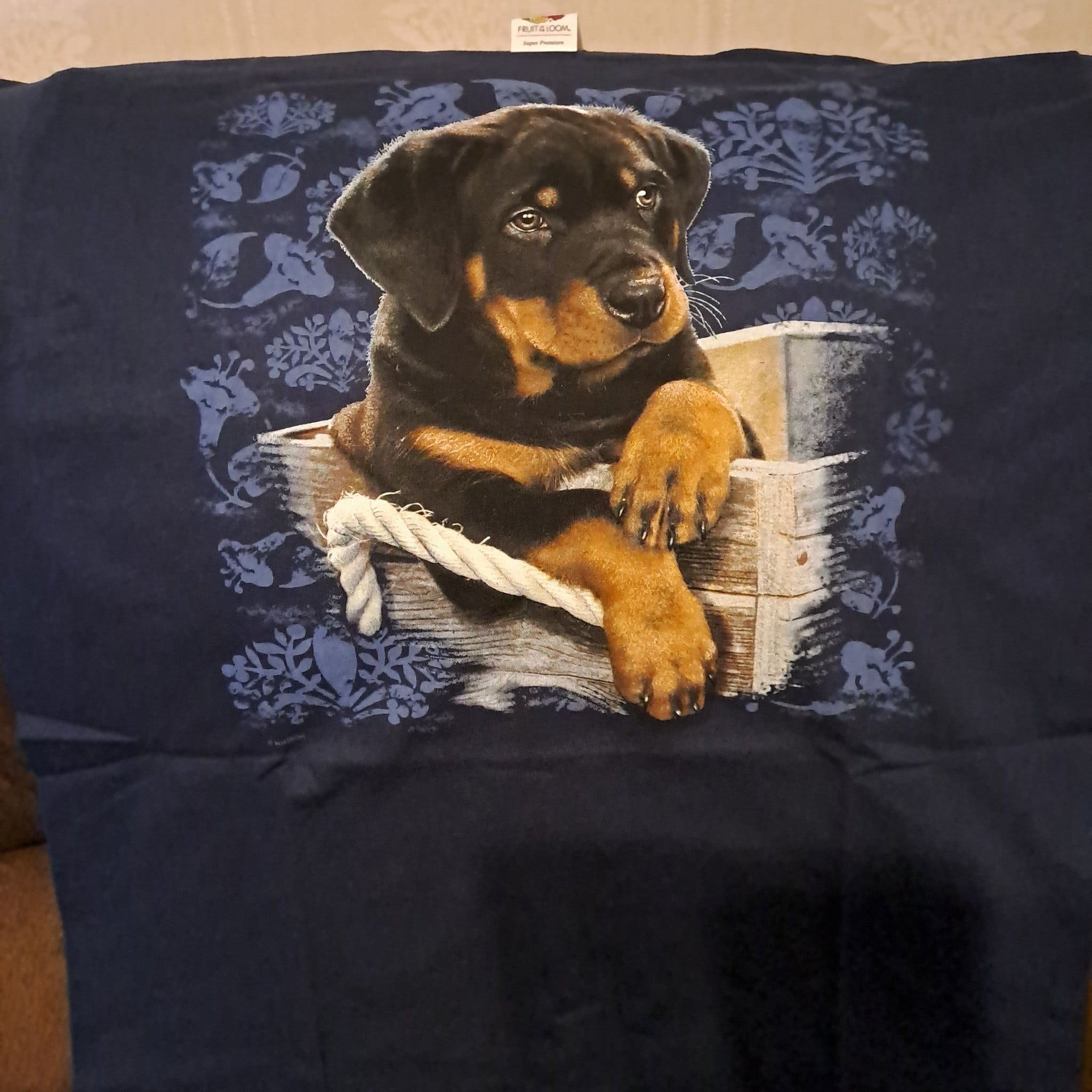 Fruit of the Loom blå t-shirt stl S | Köp på Tradera (737094645)