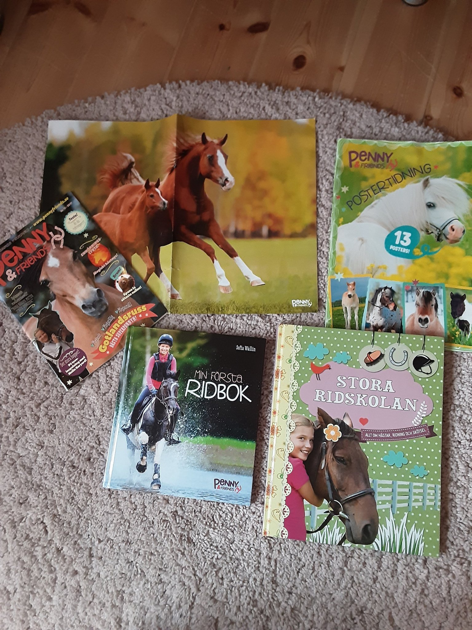 Min första ridbok och stora ridskolan + postert.. | Köp på Tradera ...