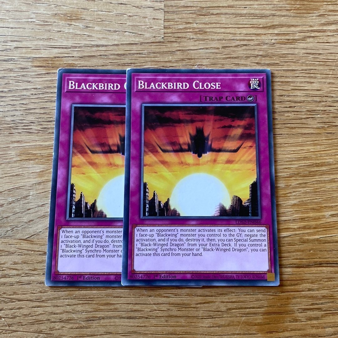 Yu-Gi-Oh! - 2st Blackbird Close LDS2-EN046 | Köp på Tradera (704557395)