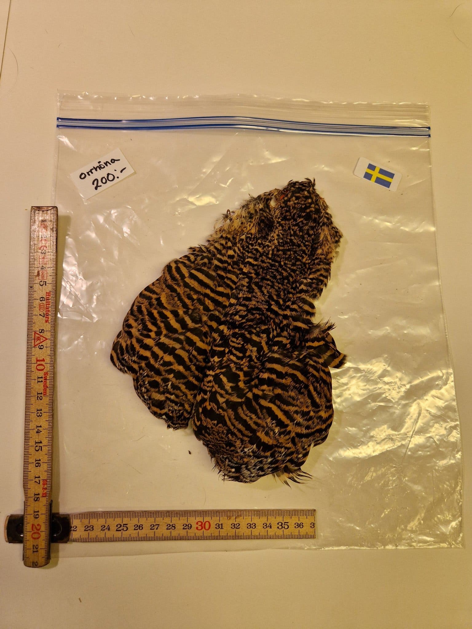 Nacke av orrhöna - Black grouse hen neck | Köp på Tradera (650179481)