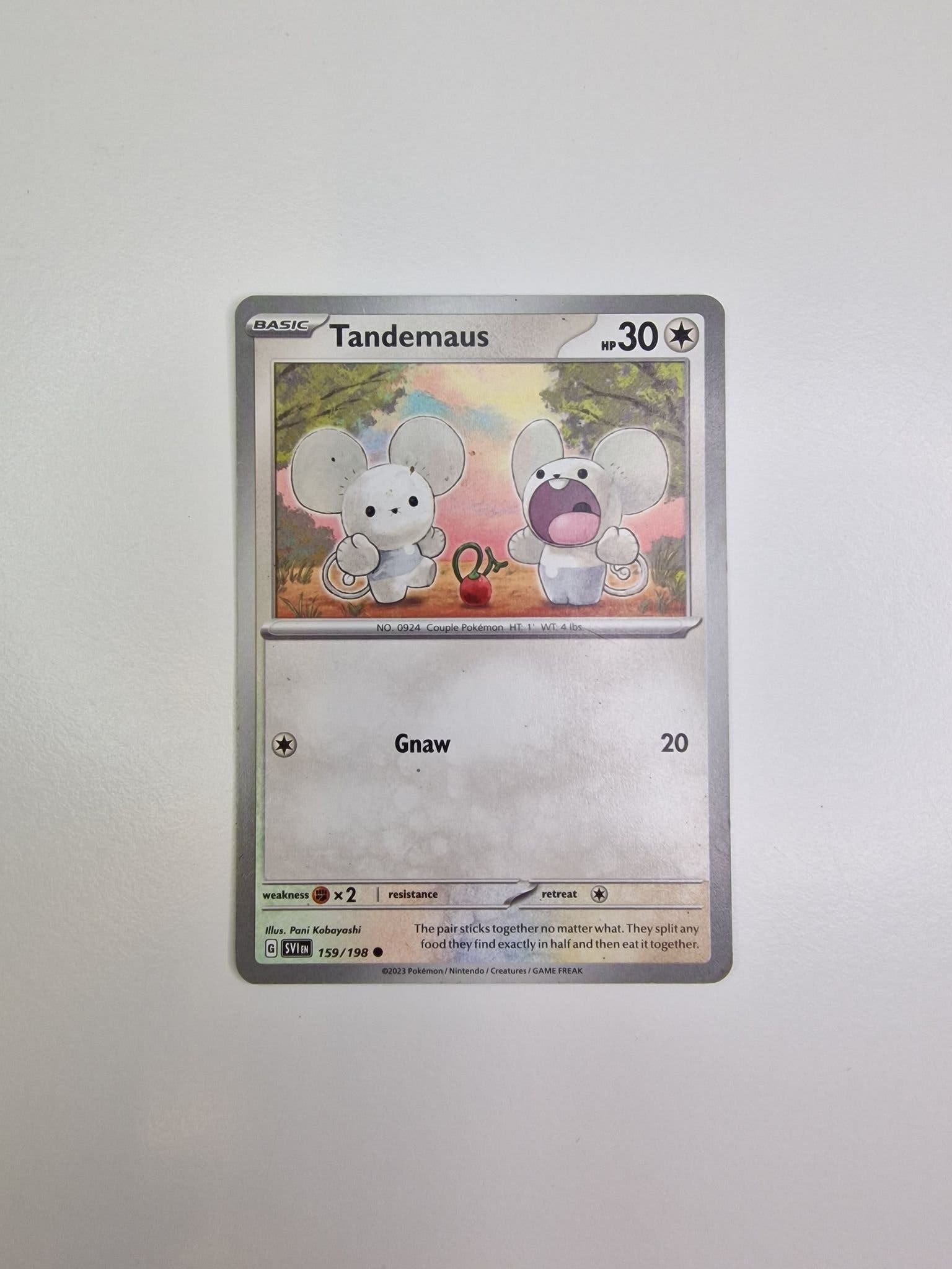 Pokémon Tandemaus 159/198 | Köp på Tradera (712935932)