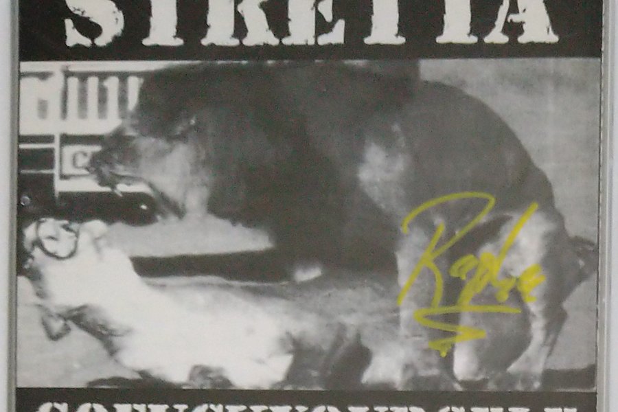 STRETTA GOFUCKYOURSELF 1998 5-SPÅR CD MAXI SING.. | Köp på Tradera ...