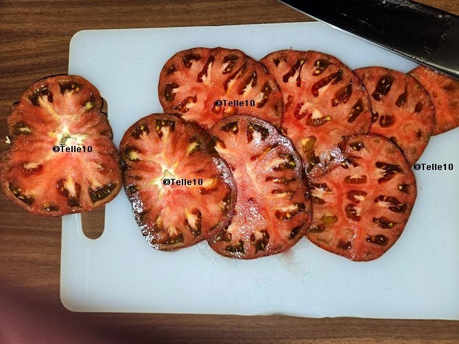 Amur Tiger, vacker och rikgivande biff. 10 frön | Köp på Tradera (699889096)