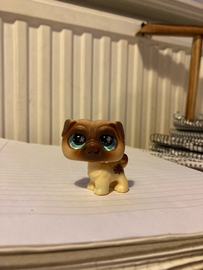 Se produkter som liknar Littlest Pet Shop Mops på Tradera (665608675) Se produkter som liknar Littlest Pet Shop Mops på Tradera (665608675)