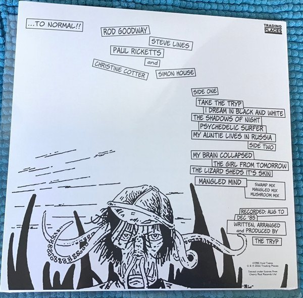 The Tryp - My Brain Collapsed!! - Vinyl LP | Köp på Tradera (710827929)