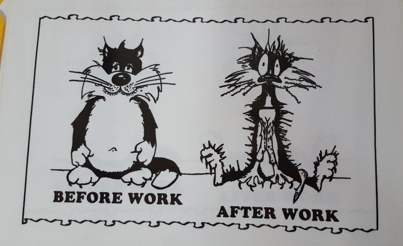 Rolig amerikansk skylt Before/After work | Köp på Tradera (365697150)