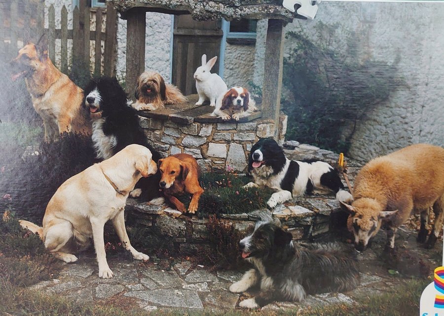 Schmidt Puzzle 1000 bitar "Djurfarm" William L... | Köp på Tradera ...