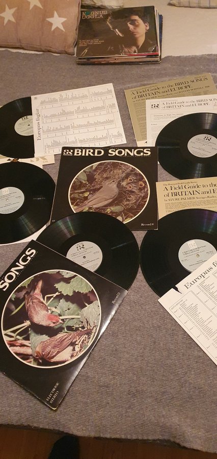 Fältguide till Europas fåglar - Sture Palmer - .. | Köp på Tradera ...