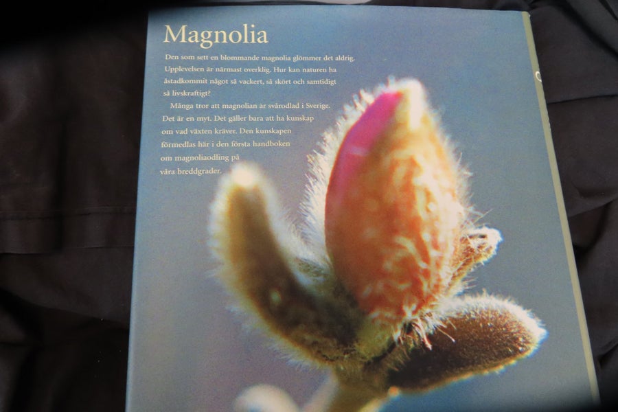 Se produkter som liknar Magnolia: Välja, köpa och odl.. på Tradera ...