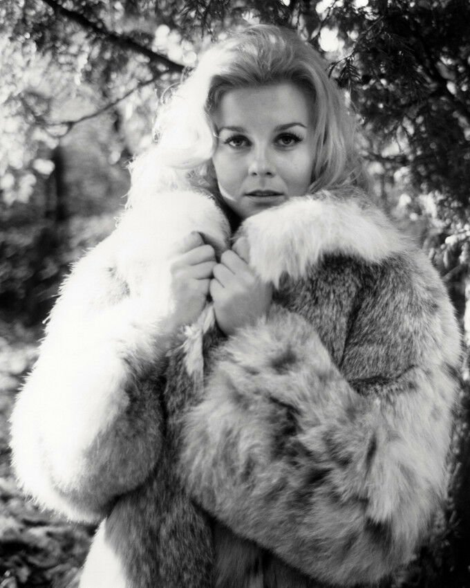 ANN MARGRET AMERICAN ACTRESS SINGER DANCER PHOT.. | Köp på Tradera ...