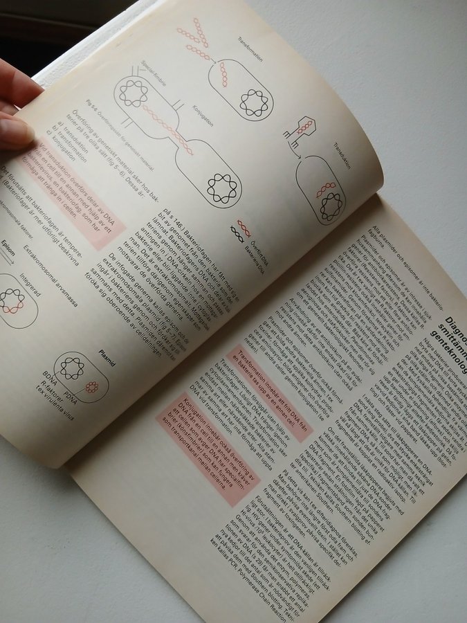 Mikrobiologi av Tom Bergan | Köp på Tradera (733485939)