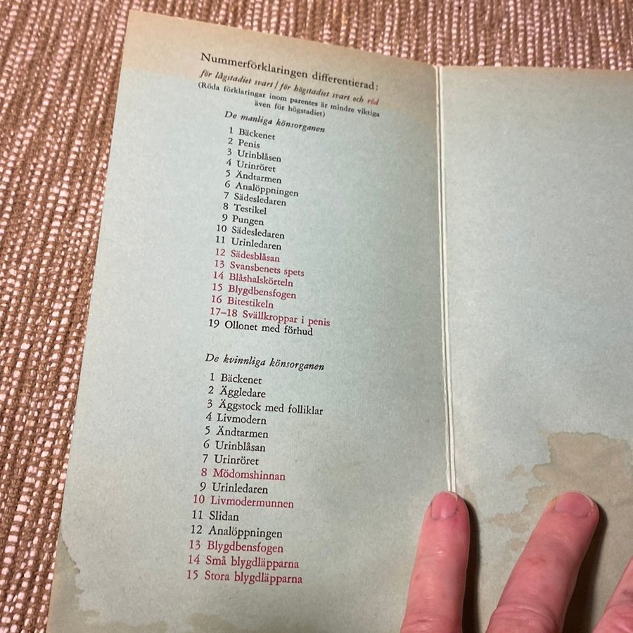Anatomisk atlas från Transart, könsorganen | Köp på Tradera (716248531)