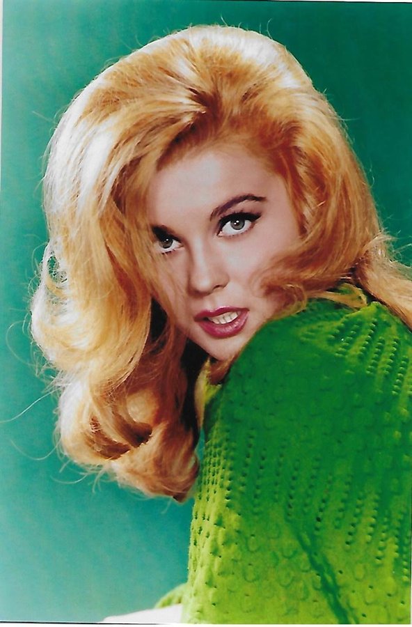 ANN MARGRET AMERICAN ACTRESS SINGER DANCER PHOTOGRAPH FOTO