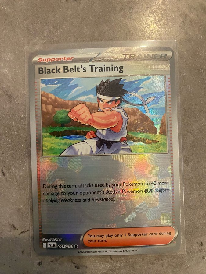 Black Belt's Training - Pokémonkort | Köp på Tradera (713288307)