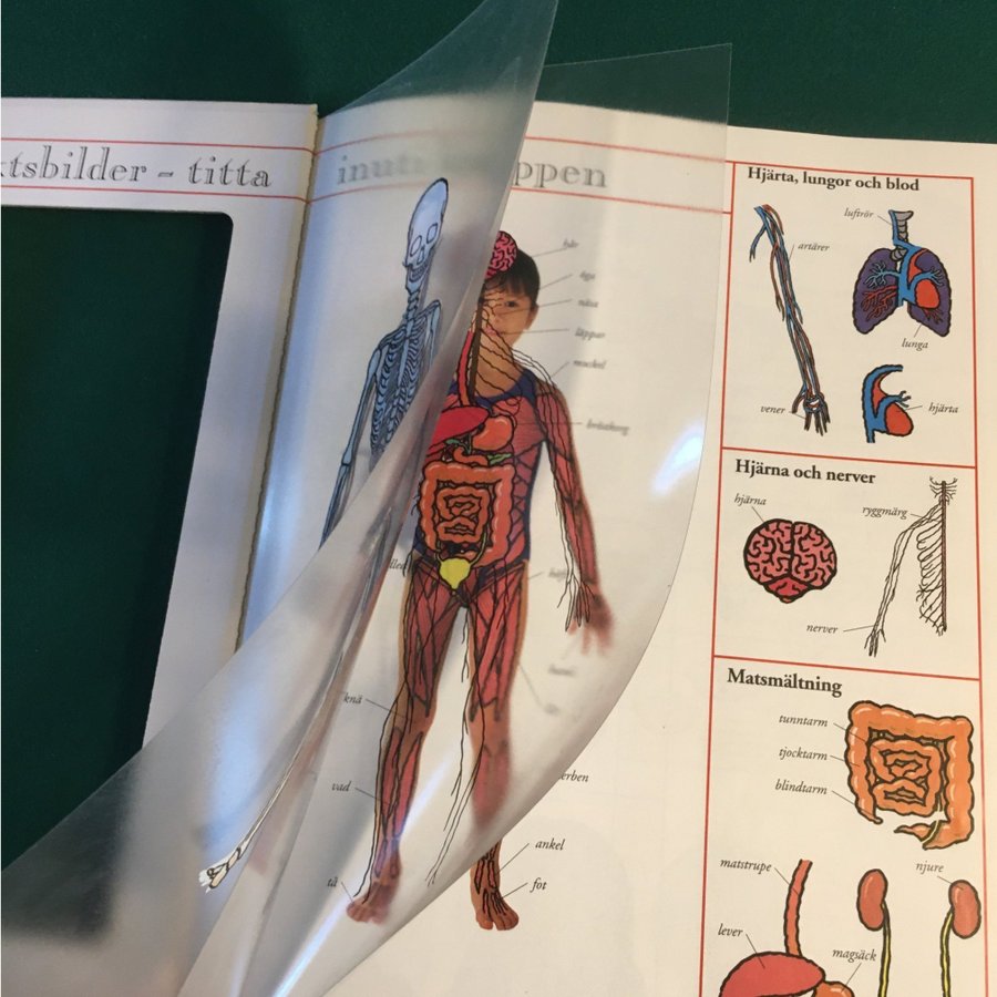 Boken om kroppen | Köp från Bokfinken på Tradera (599308202)